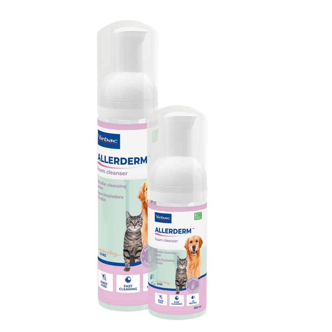 Allerderm Foam Cleanser