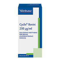 Cyclix Bovini