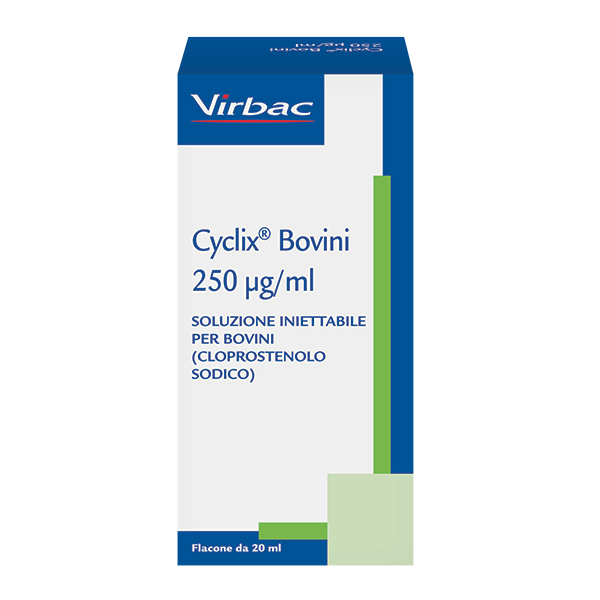 Cyclix Bovini