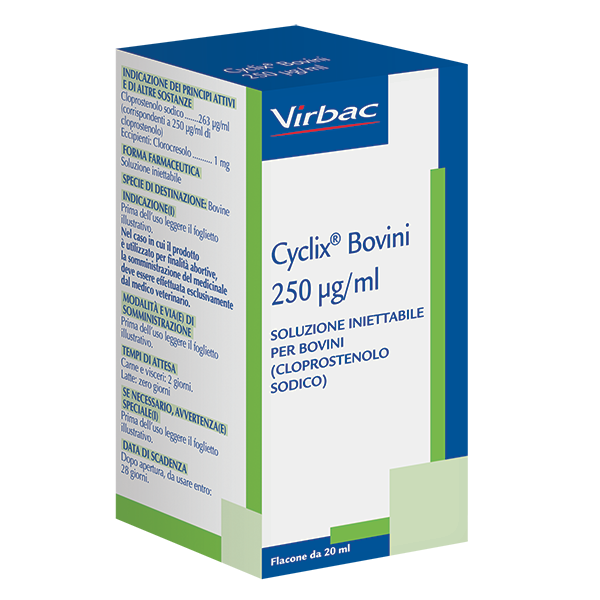Cyclix Bovini
