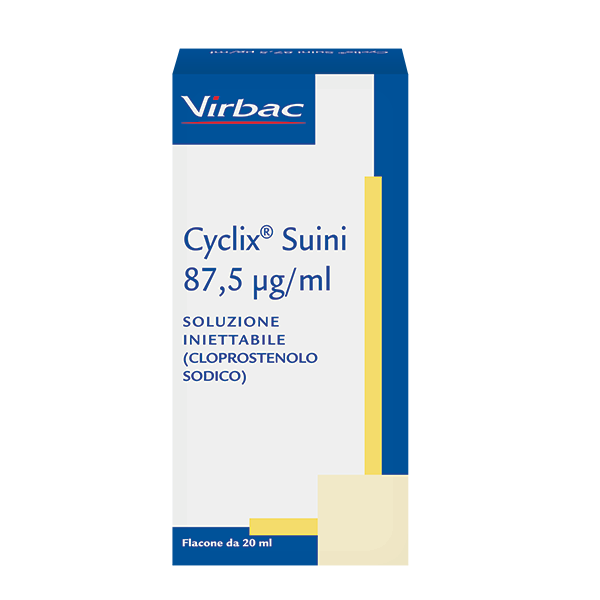 Cyclix Suini