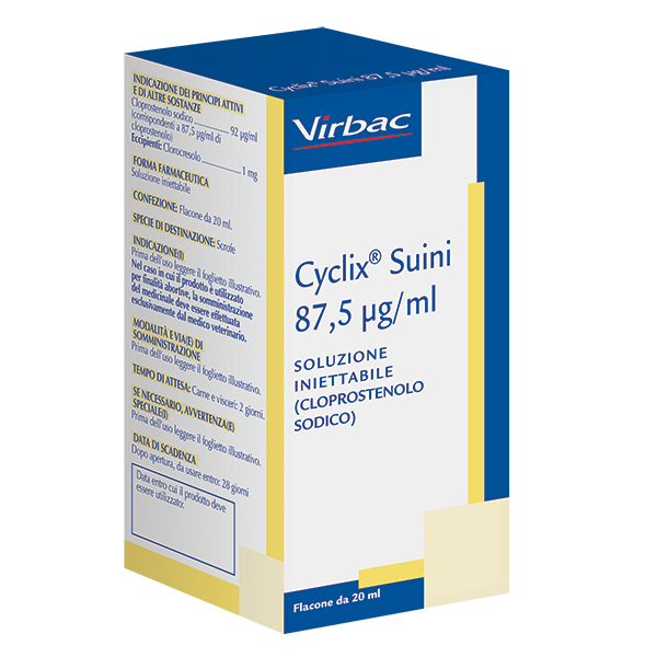 Cyclix Suini