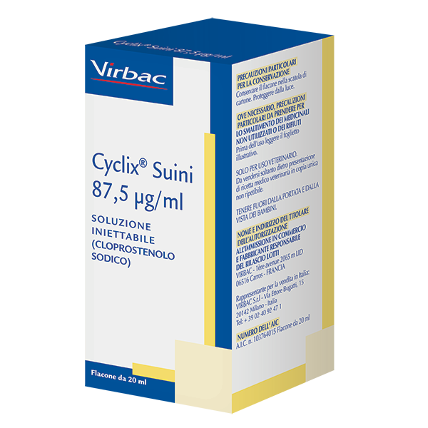 Cyclix Suini