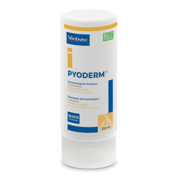 Pyoderm shampoo