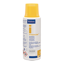 Pyoderm shampoo