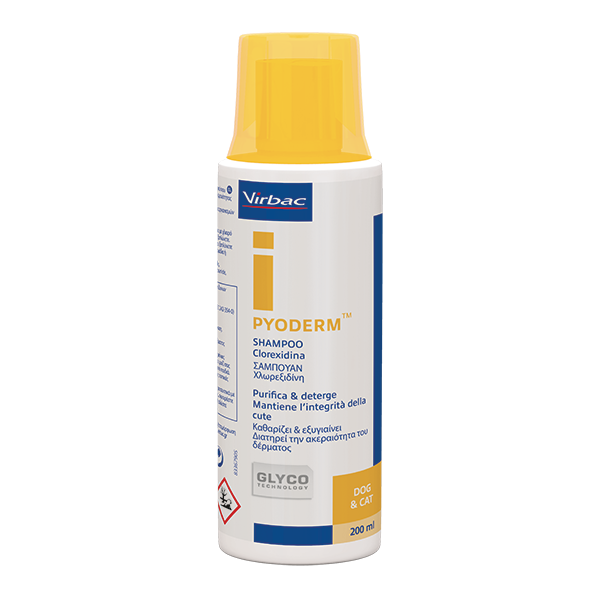 Pyoderm shampoo